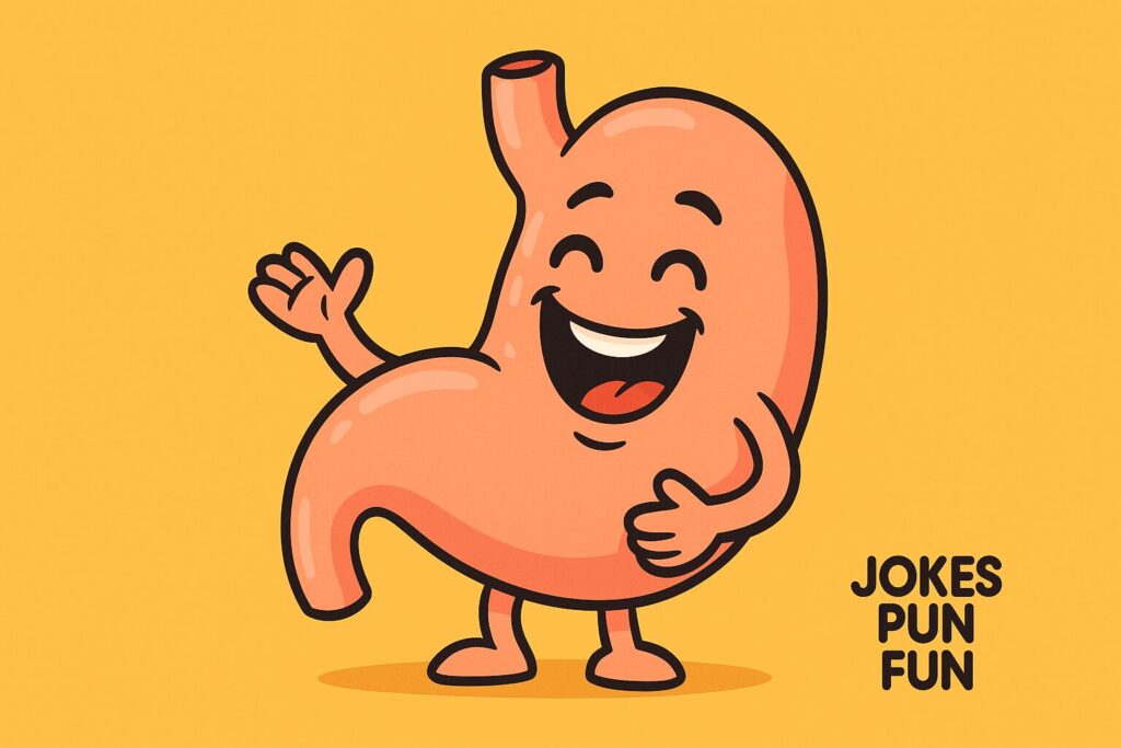 87+ Stomach Puns That Will Make You Laugh Till You Drop